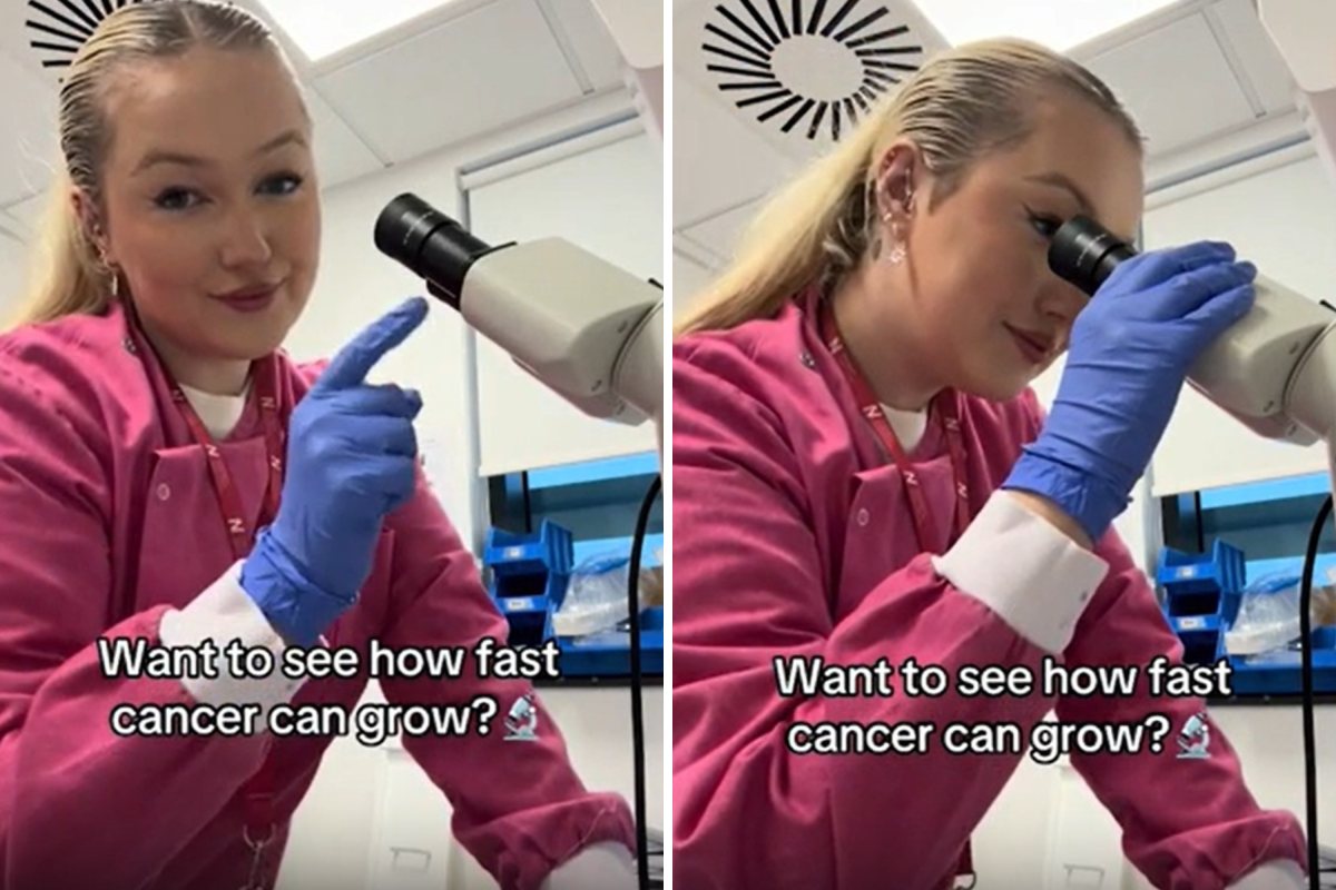 Oncology Student Shows How Fast Cancer Can Grow Under a Microscope ...