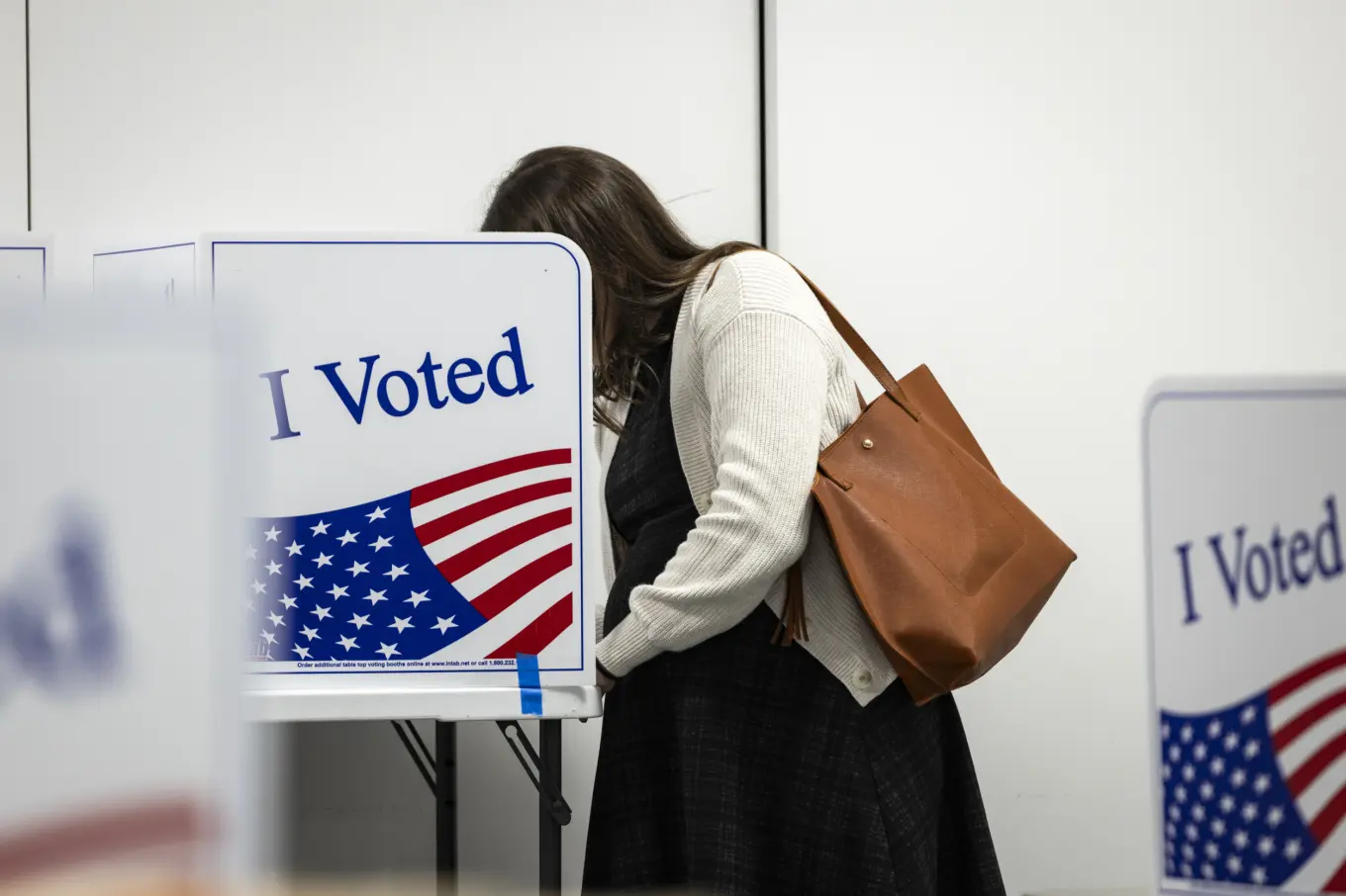 What Judge Patricia Giles' Virginia Voter Roll Pause Means for the ...