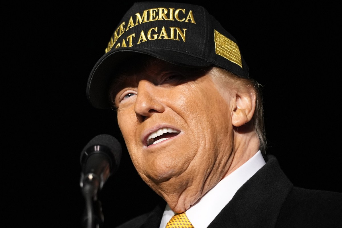 Donald Trump Brands US ‘Third World Nation’ Over Election ‘Skullduggery ...
