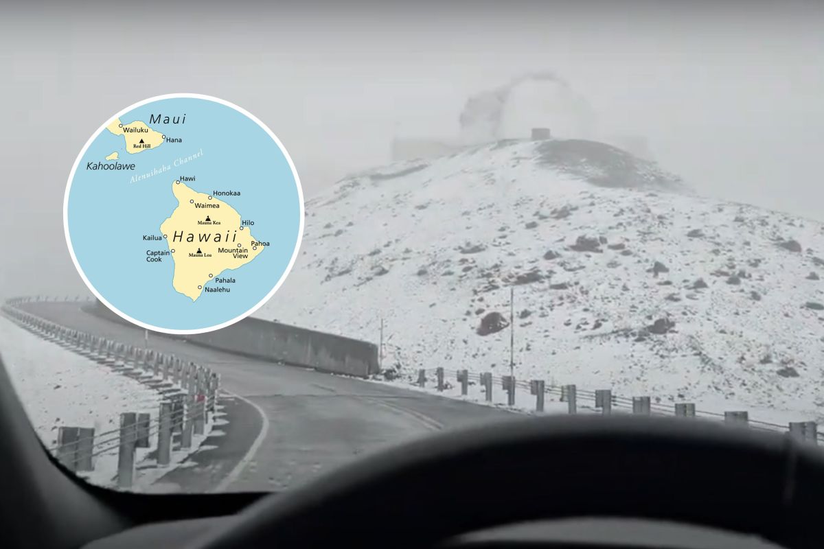 Video Shows Rare Snow on Hawaii: ‘Winter Is Here’ - Newsweek