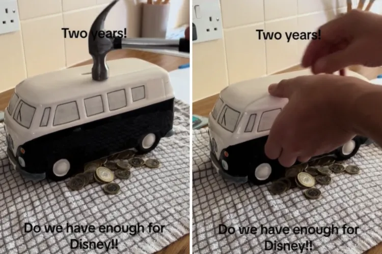 Dad Breaks Into 4-Year-Old’s Piggy Bank—What’s Inside Funds Disneyland ...