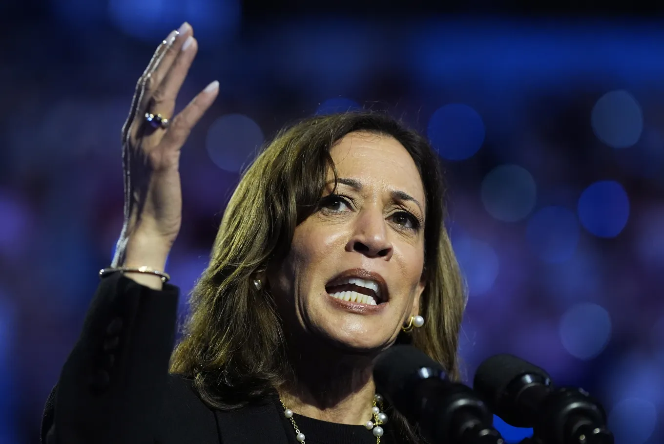 Kamala Harris Gets Good News in Final Rust Belt Polls - Newsweek