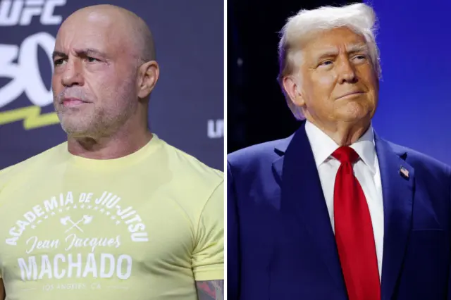 Will Trump’s Joe Rogan Interview Help Win White House? Analysts ...