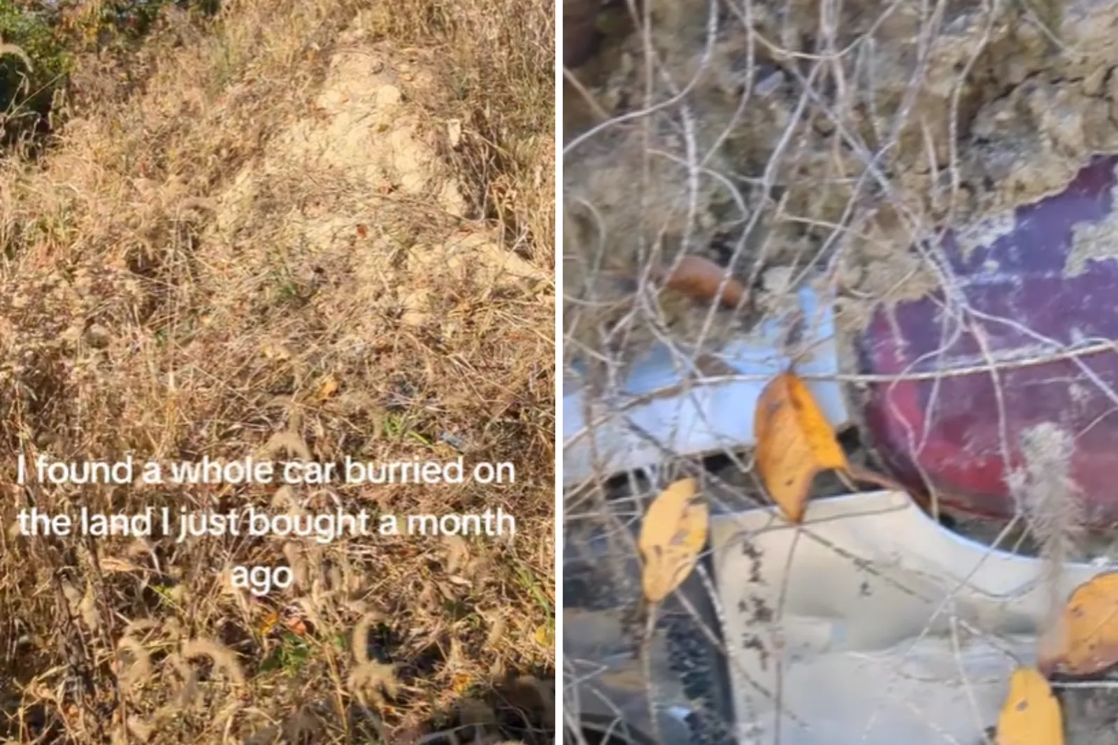 Chills as Couple Buy Land in Ohio, Discover Whole Car Buried in the ...