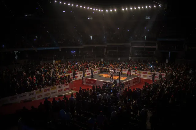AEW Star Leaves Company Following Health Scares - Newsweek
