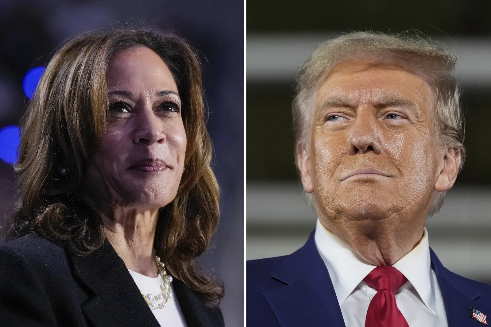 Final Polls: Harris and Trump's Chances of Winning Election - Newsweek