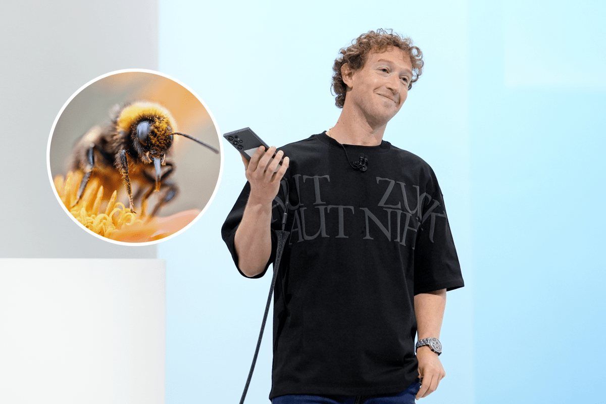 Mark Zuckerberg’s Nuclear-Powered AI Plans Thwarted by Bees - Newsweek
