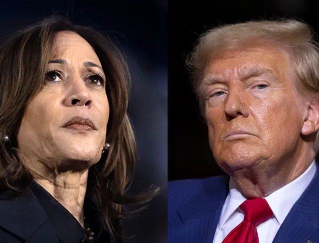 Who Will Win the Election? Harris vs Trump Polls 5 Days Out - Newsweek