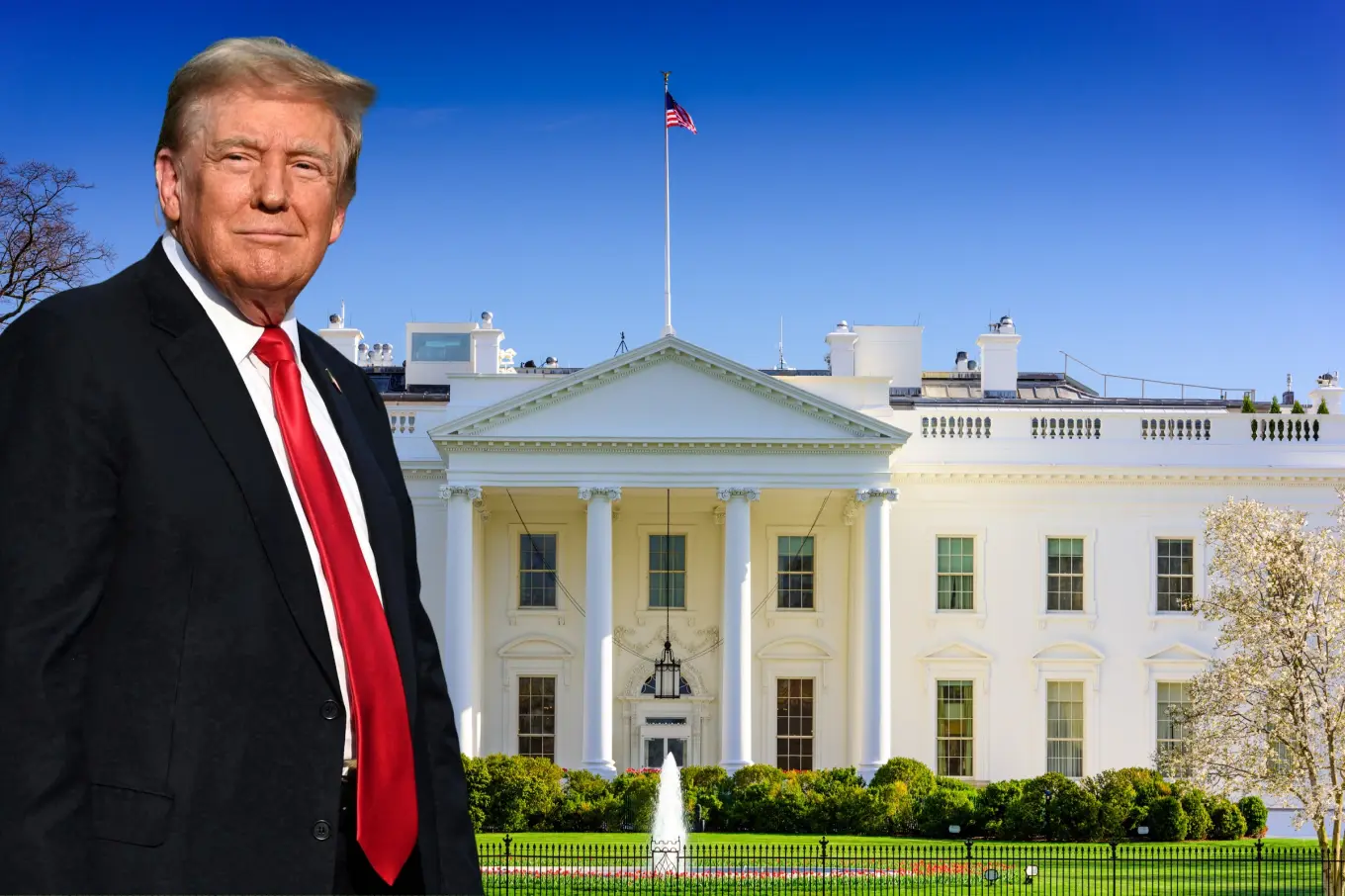 Full List of Celebrities Moving Abroad After Donald Trump... - Newsweek