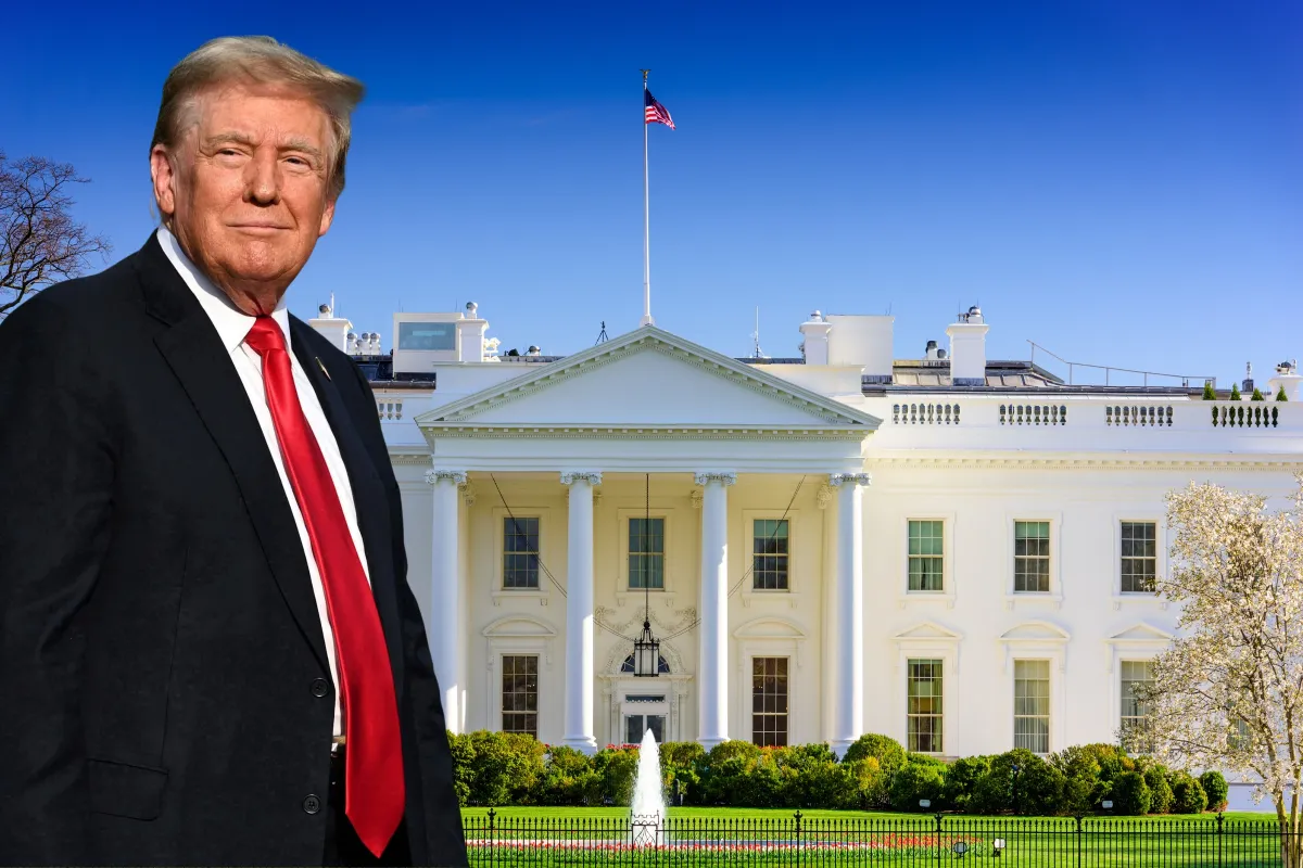 Full List of Celebrities Moving Abroad After Donald Trump’s Win - Newsweek