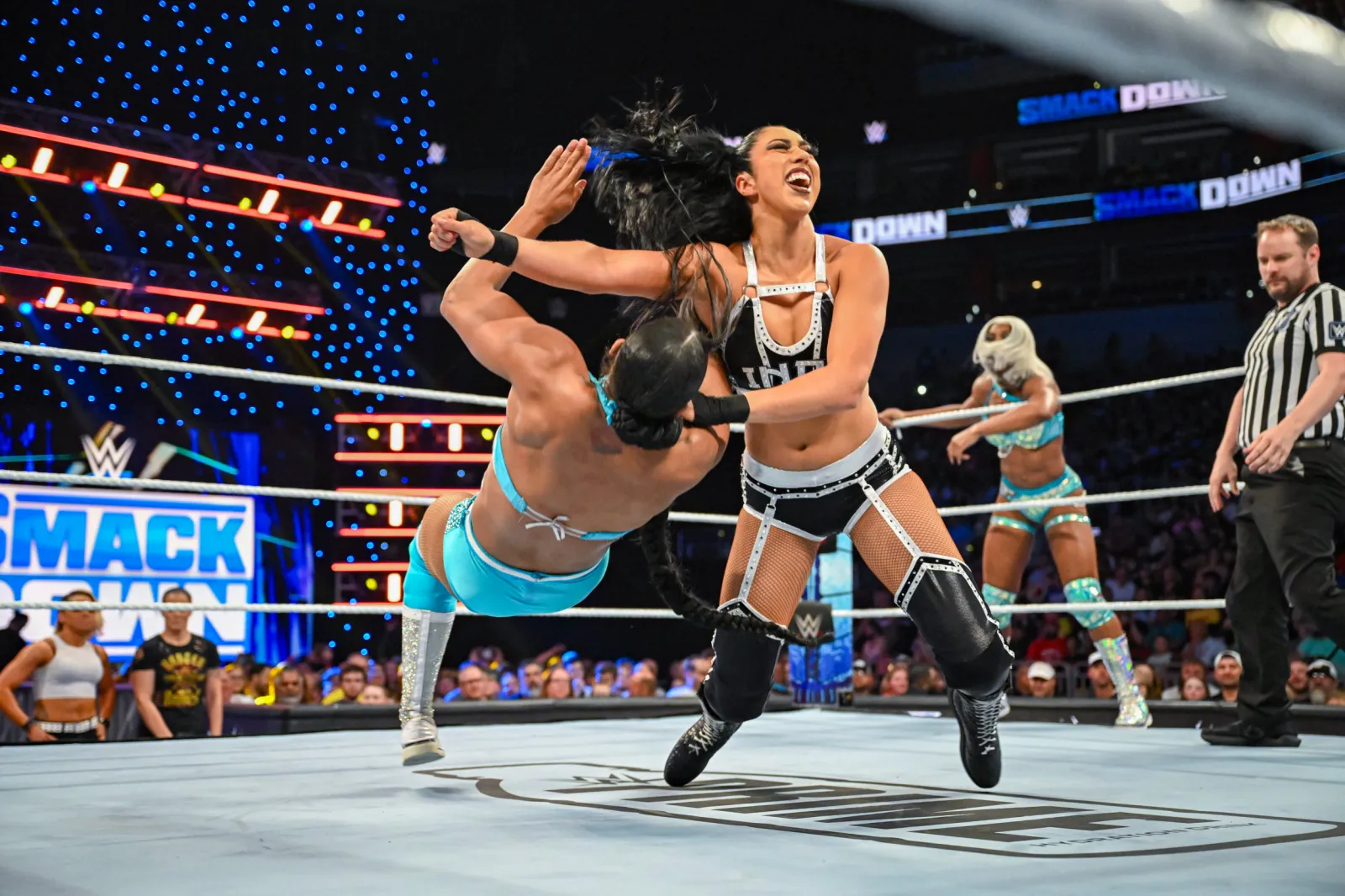 Indi Hartwell Responds to Unexpected WWE Release - Newsweek