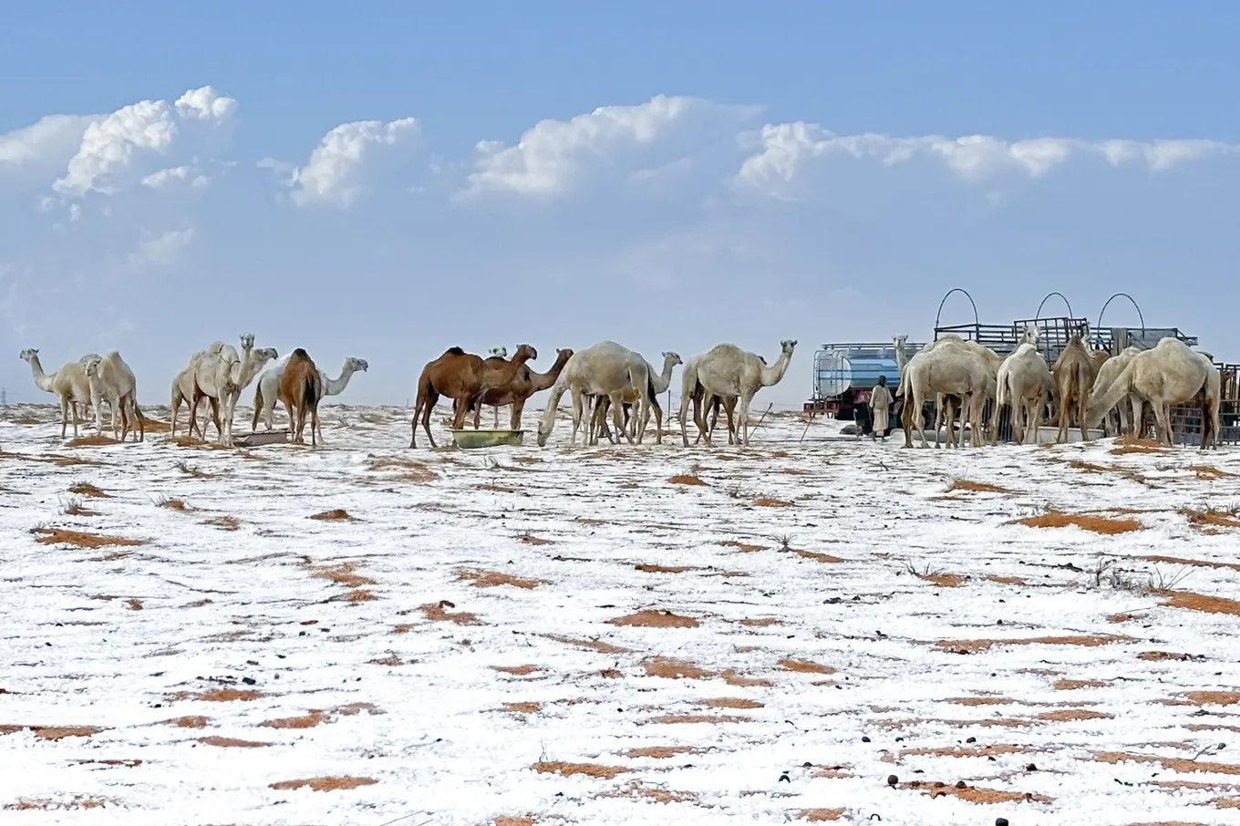 Saudi Arabian Desert Gets First Ever Snowfall - Newsweek