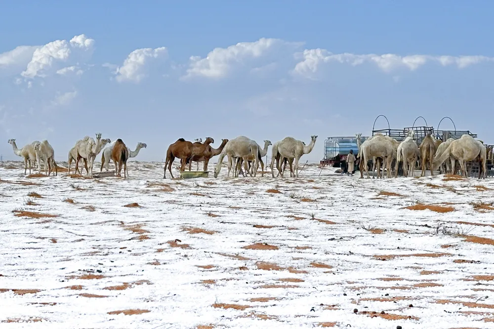 Saudi Arabian Desert Gets First Ever Snowfall - Newsweek