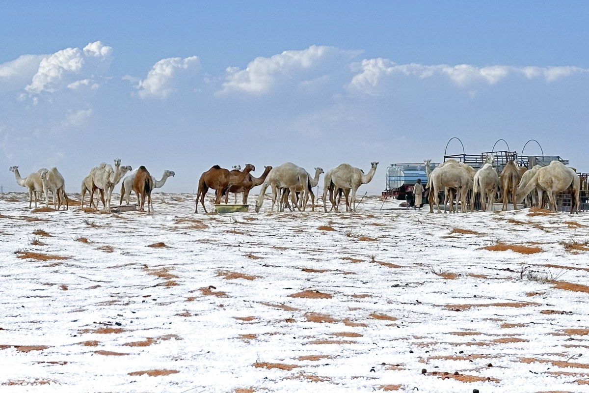Saudi Arabian Desert Gets First Ever Snowfall - Newsweek
