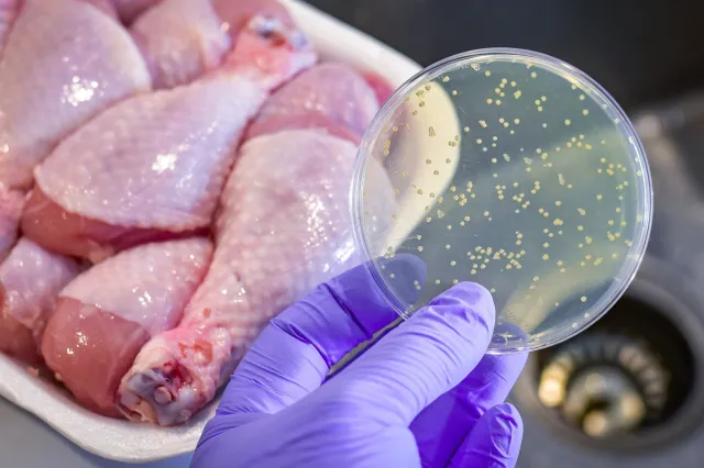 How Safe Is US Food? Experts’ Verdicts After Listeria, E. Coli ...