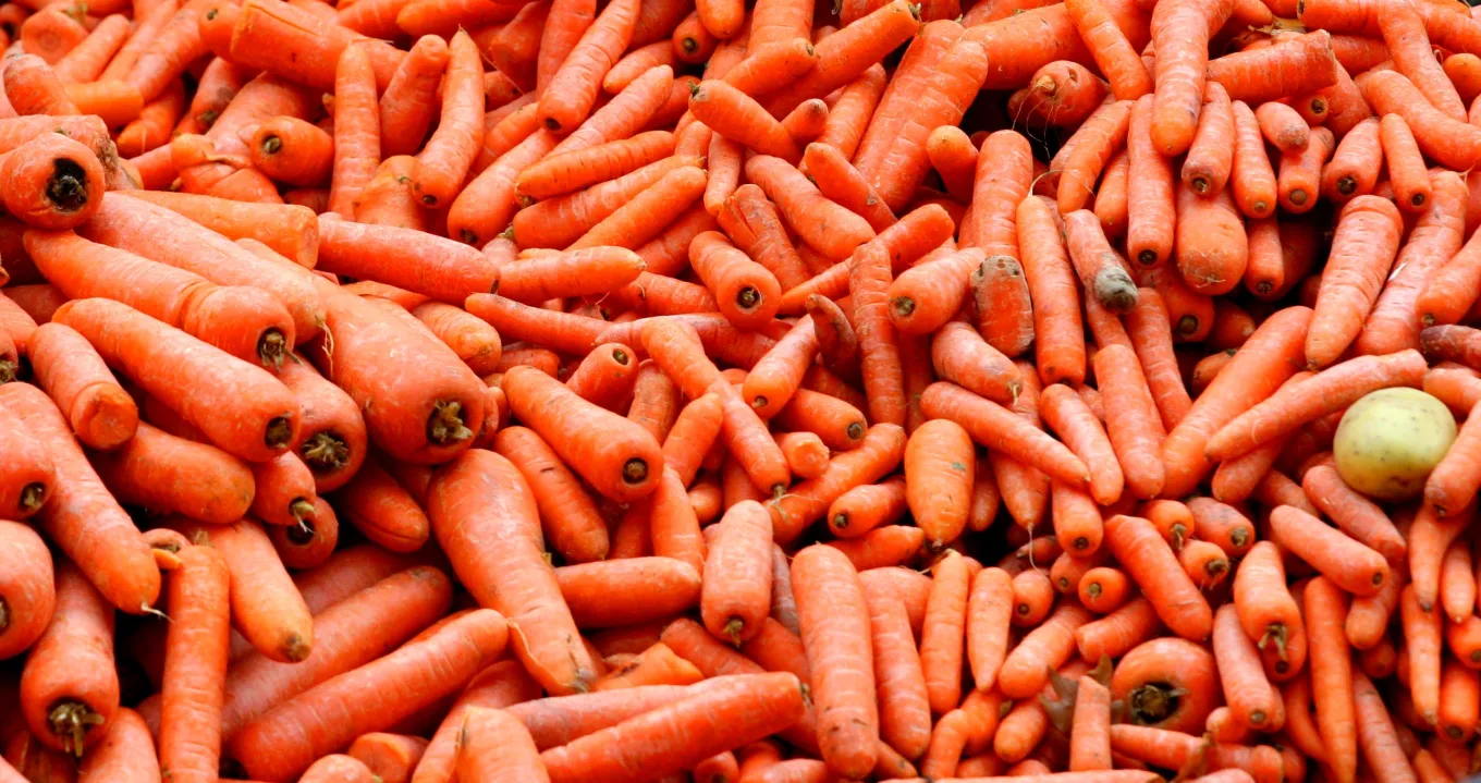 Carrot Recall As Warning Issued Over 19 Brands Sold in Major Stores ...