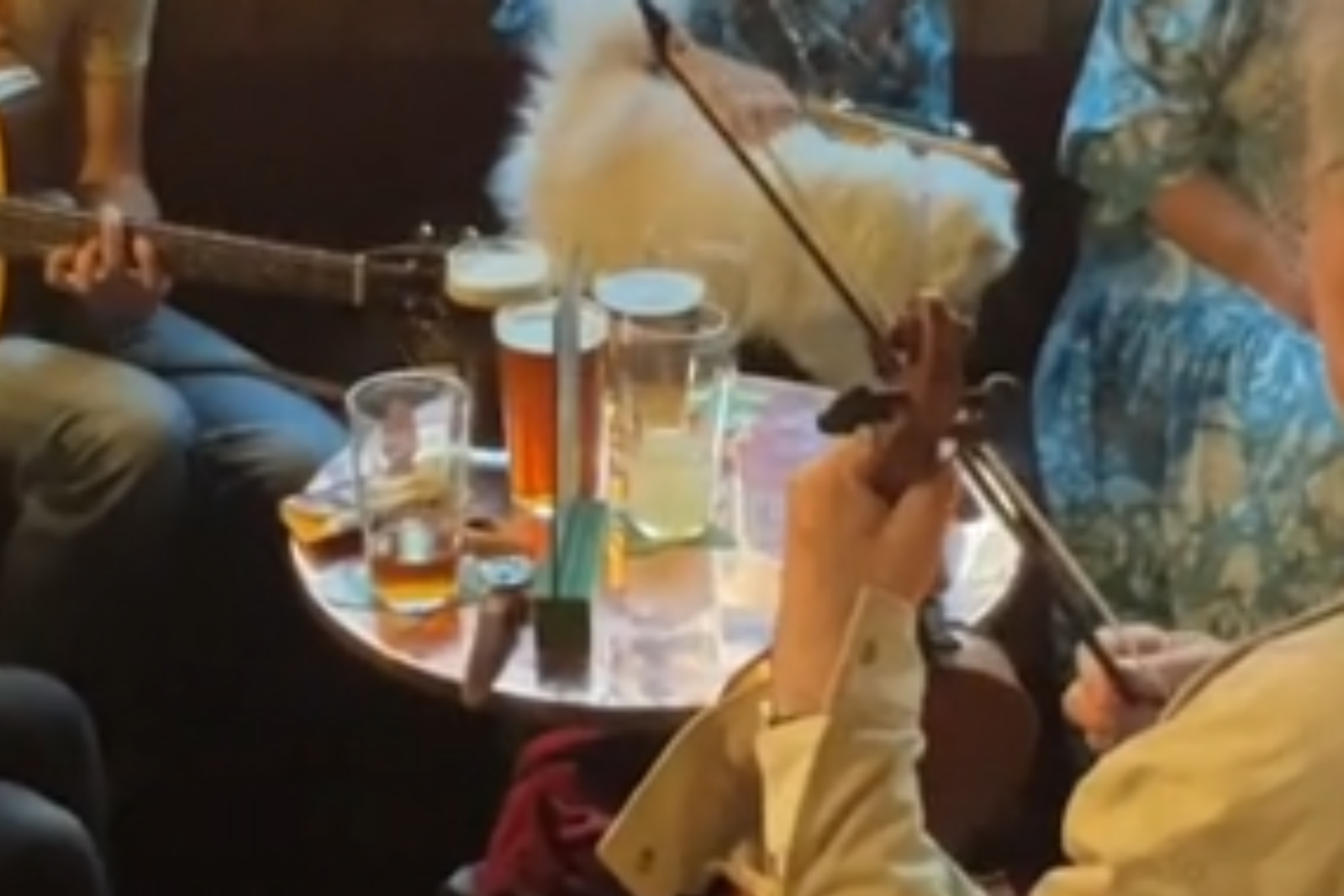Irish Musicians’ Weekly Jam Session Interrupted As Cat Has Other Plans ...