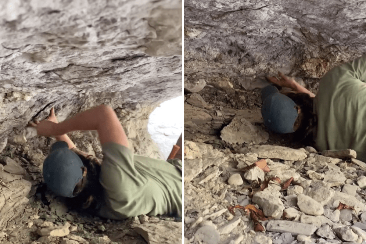 Man Finds Rare 89 Million-Year-Old Tooth of Ancient Hunter in Texas ...