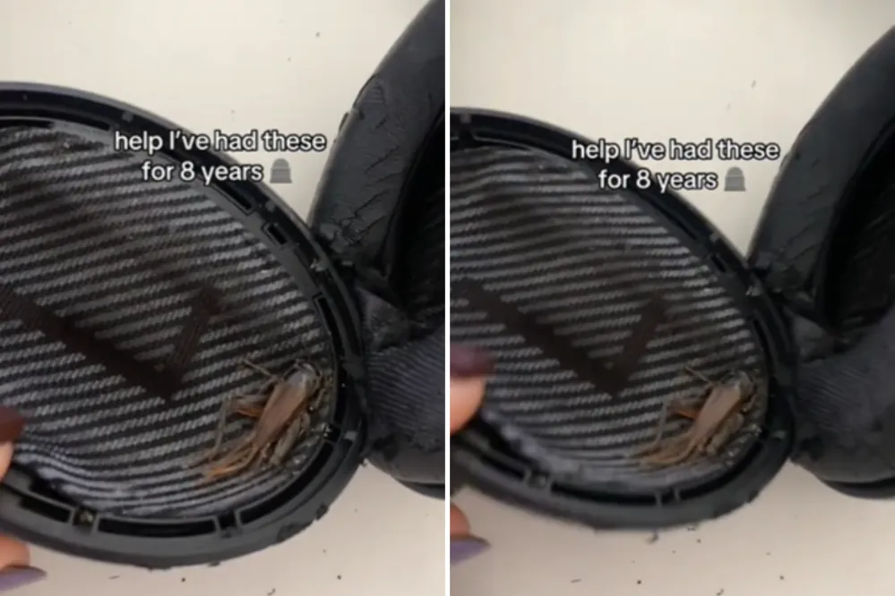 Woman Cleans Headphones She’s Owned for 8 Years—Can’t Believe What’s ...