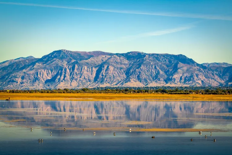 Utah Monitors Disappearing Water Across State - Newsweek