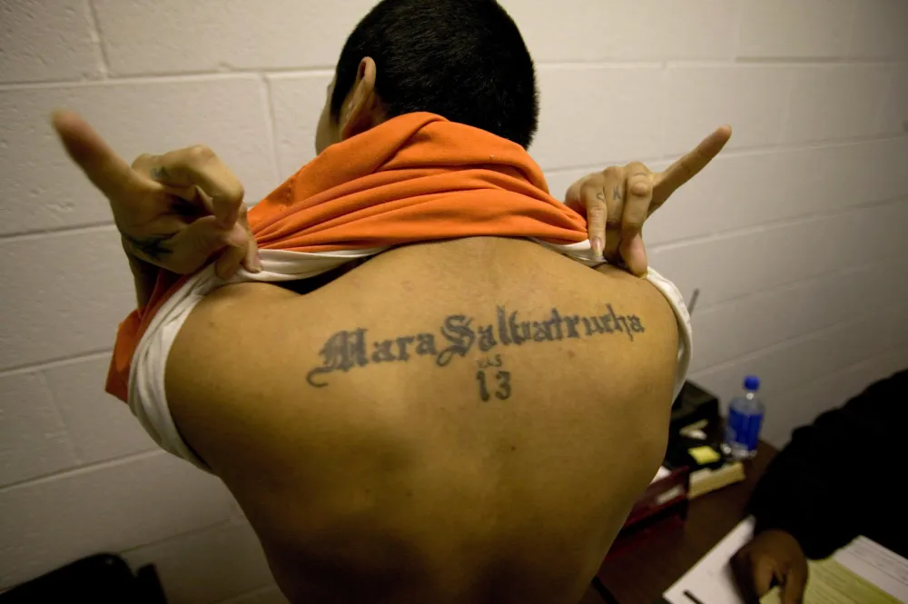 MS-13 Gangster Caught Fleeing US for Canada - Newsweek