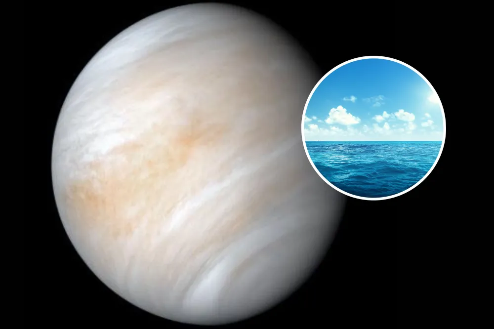 Oceans on Venus May Never Have Existed - Newsweek