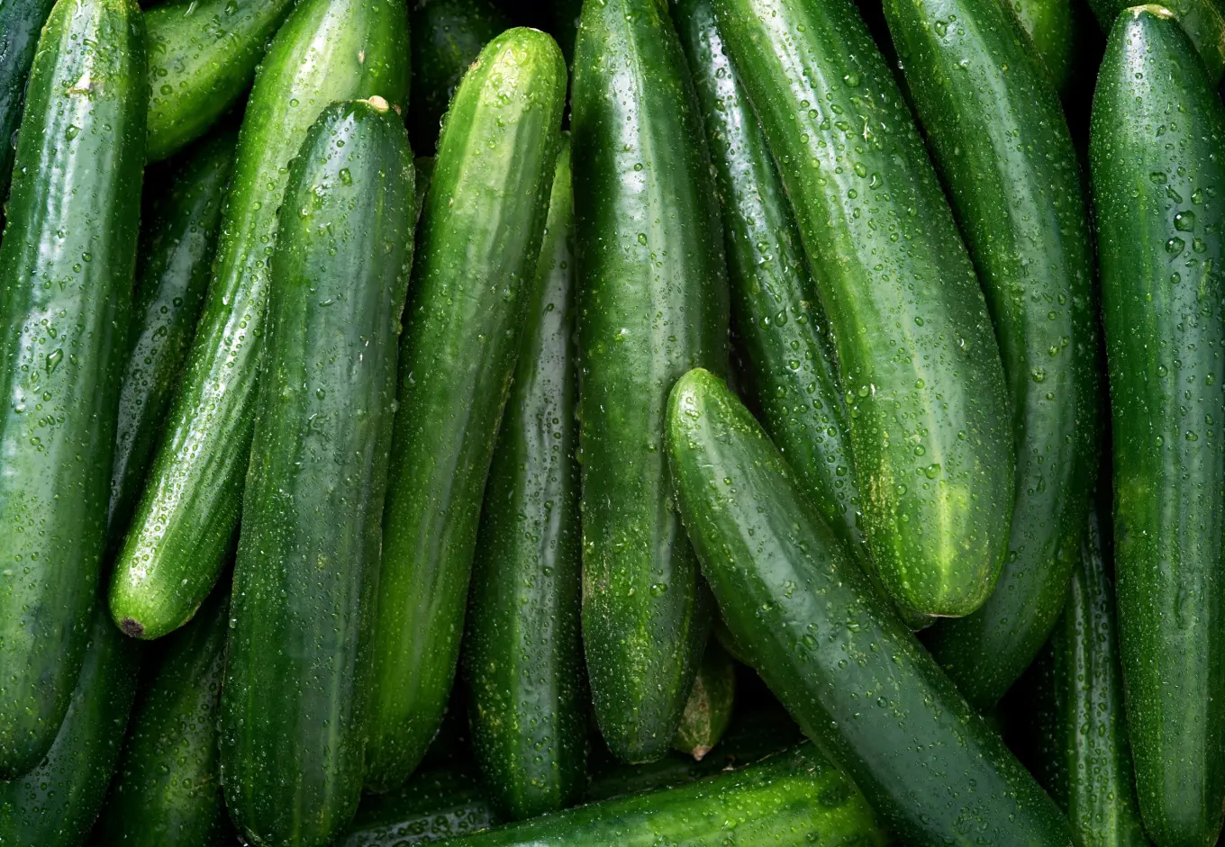Cucumber Recall Map Shows Which States Impacted by Salmonella Outbreak ...