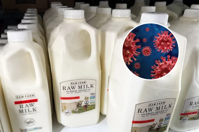 Raw Milk Recall in California As ‘Bird Flu Contamination’ Feared - Newsweek