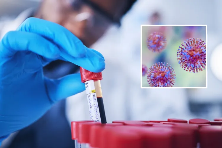 Hundreds of Vials of Deadly Viruses Missing After Lab Breach - Newsweek