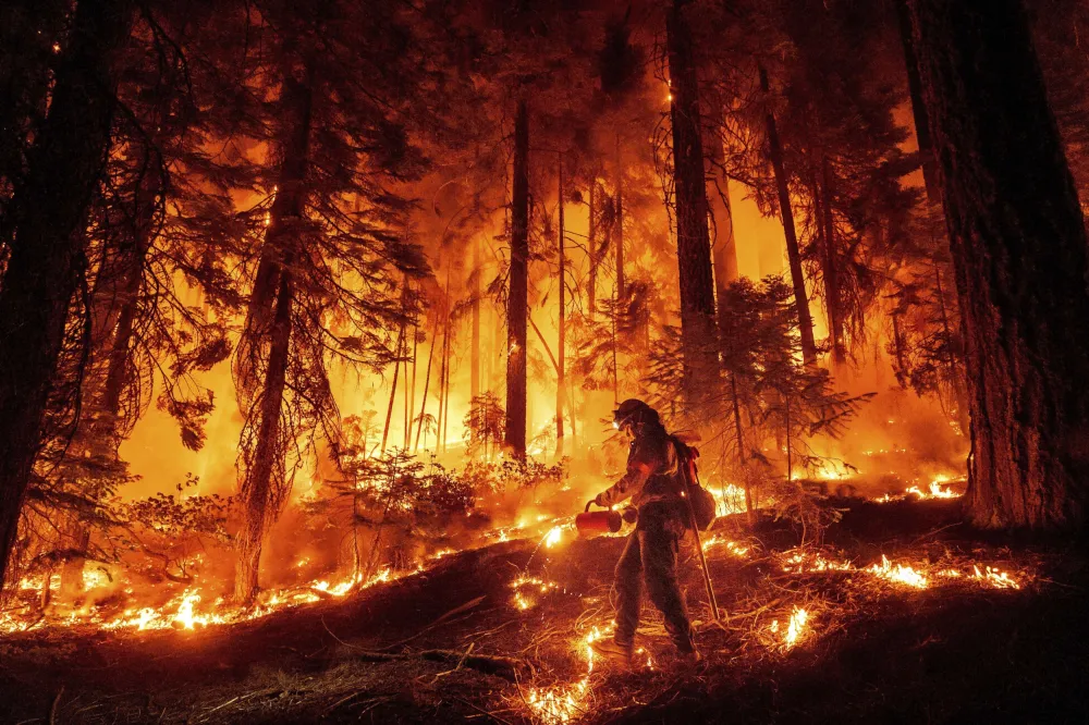 Satellites Reveal ‘Exceptional’ Wildfires Across Americas - Newsweek