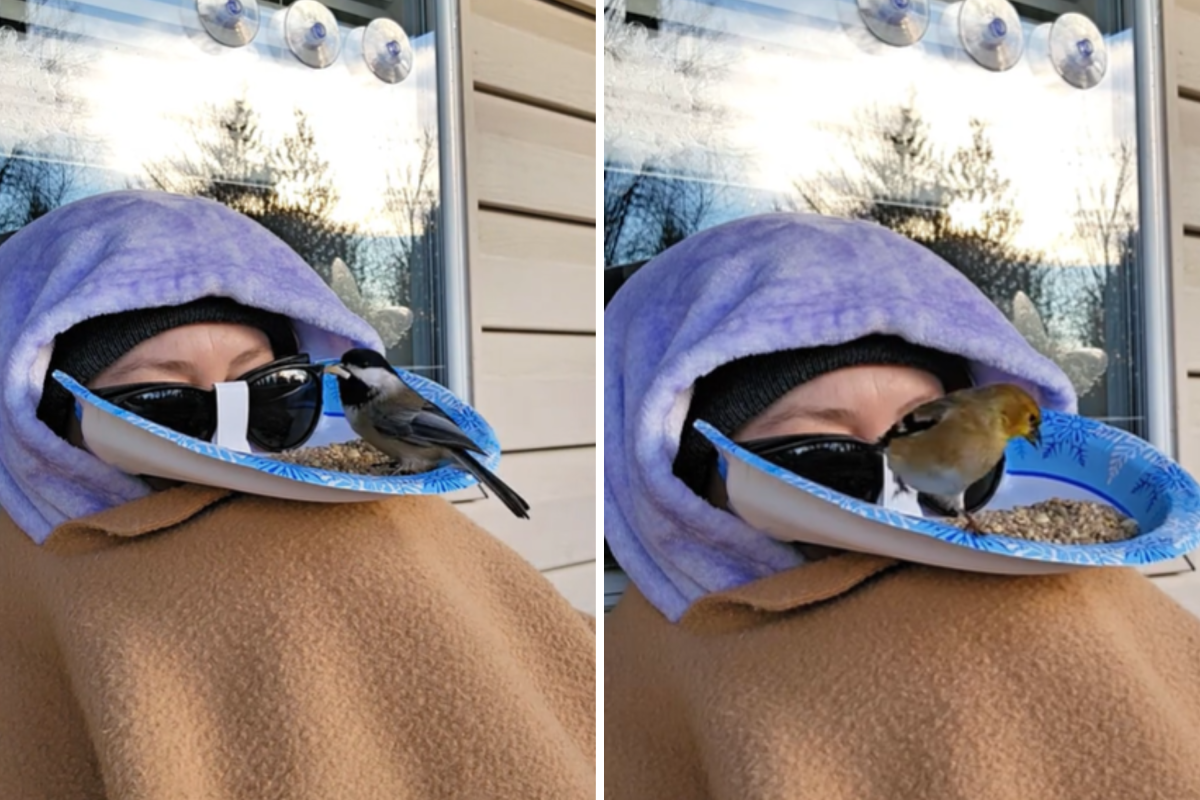 Woman Creates Wearable Contraption to Watch Birds Up Close - Newsweek