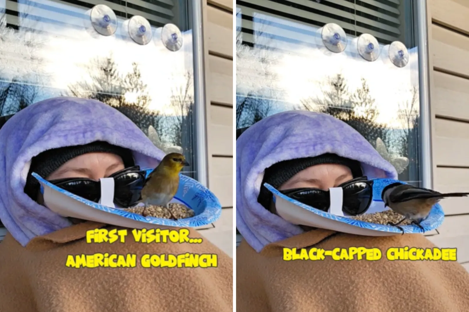 Woman Creates Wearable Contraption to Watch Birds Up Close - Newsweek