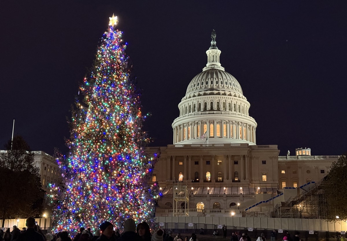 Map Shows Most Popular DIY Christmas Decorations in Each State - Newsweek