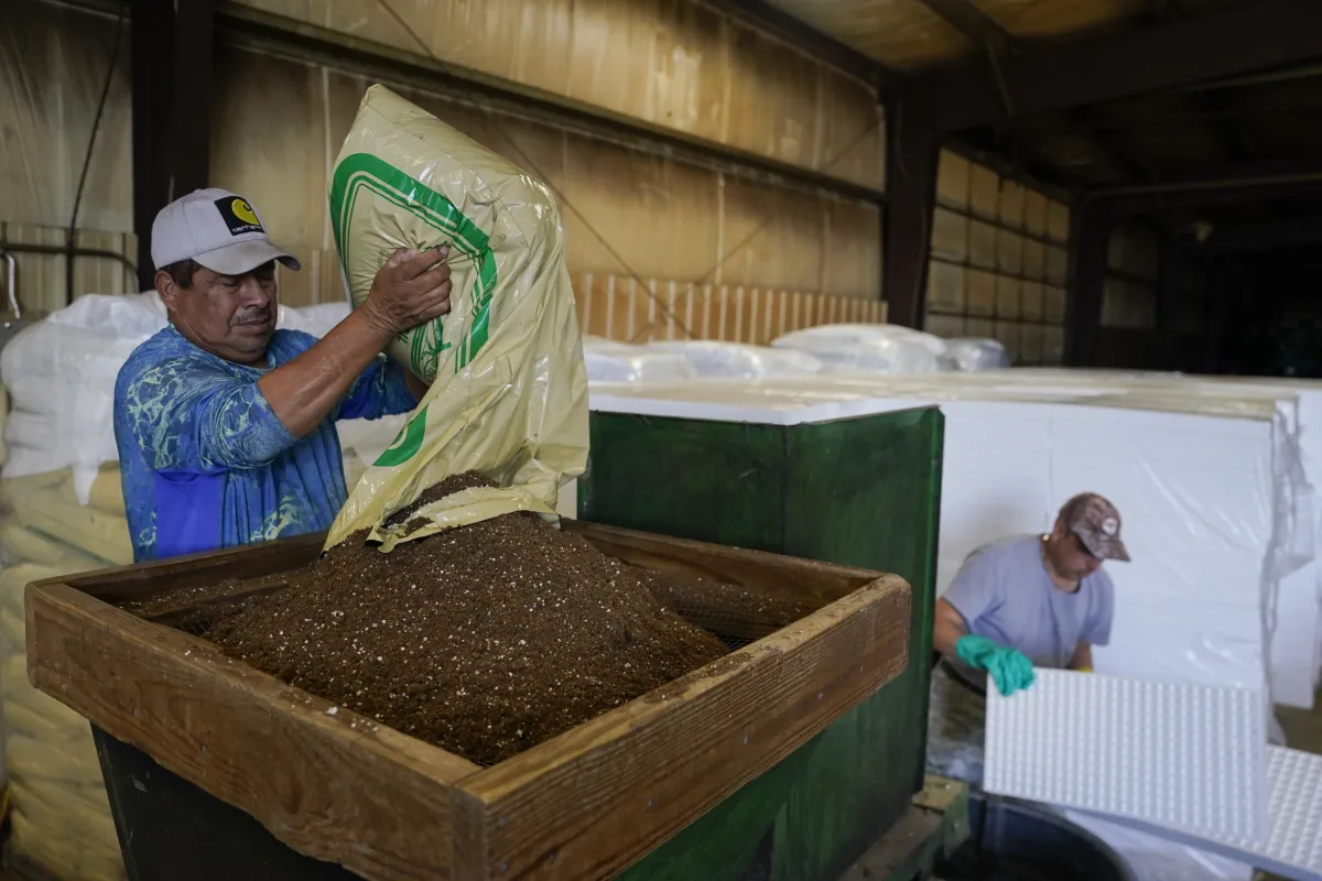 CEO doubles down on viral immigrant workers post after company ...