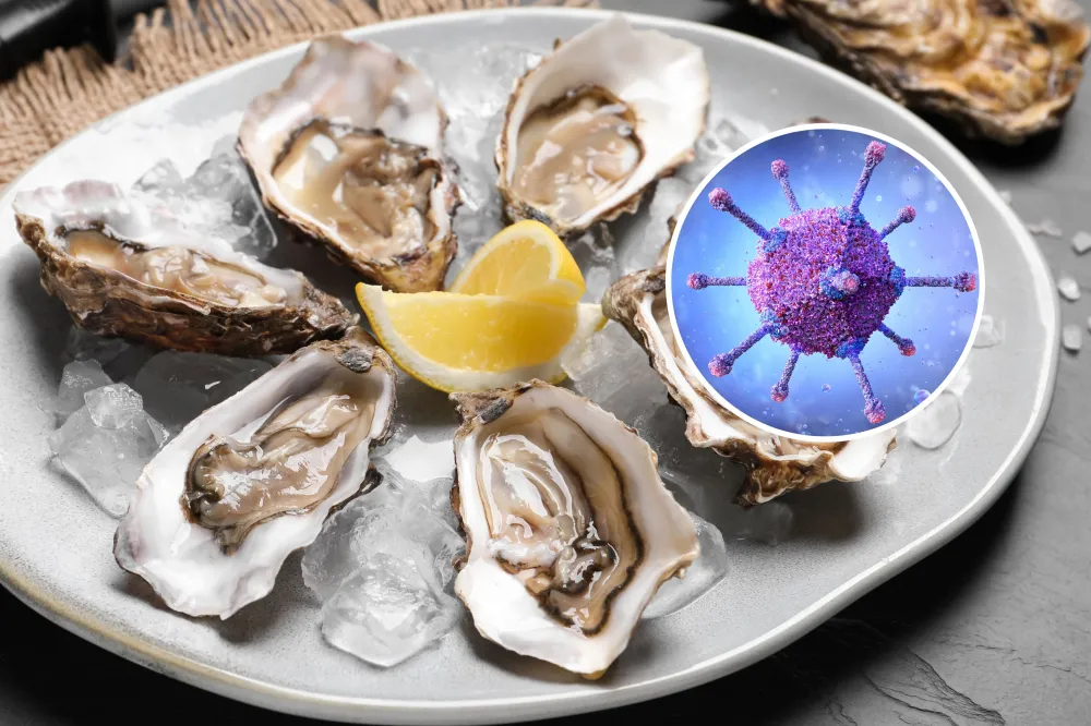 Oysters and Clams Recalled In 7 States Over Norovirus Fears - Newsweek