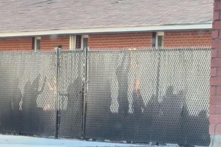 Dad Arrives to Pick Up Son, Finds Scene Straight Out of ‘The Walking ...