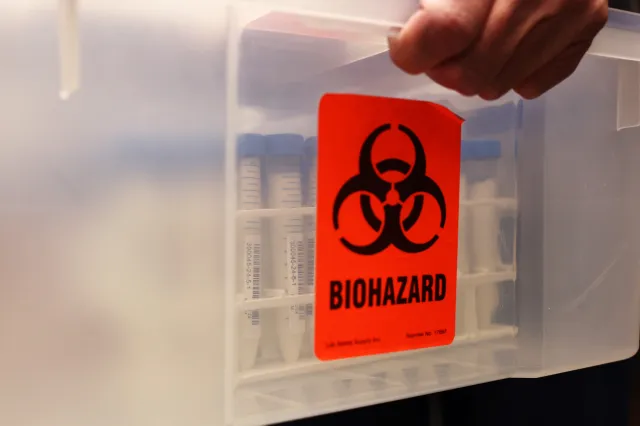 Bird Flu Mutation: Risk of New Pandemic Explained - Newsweek