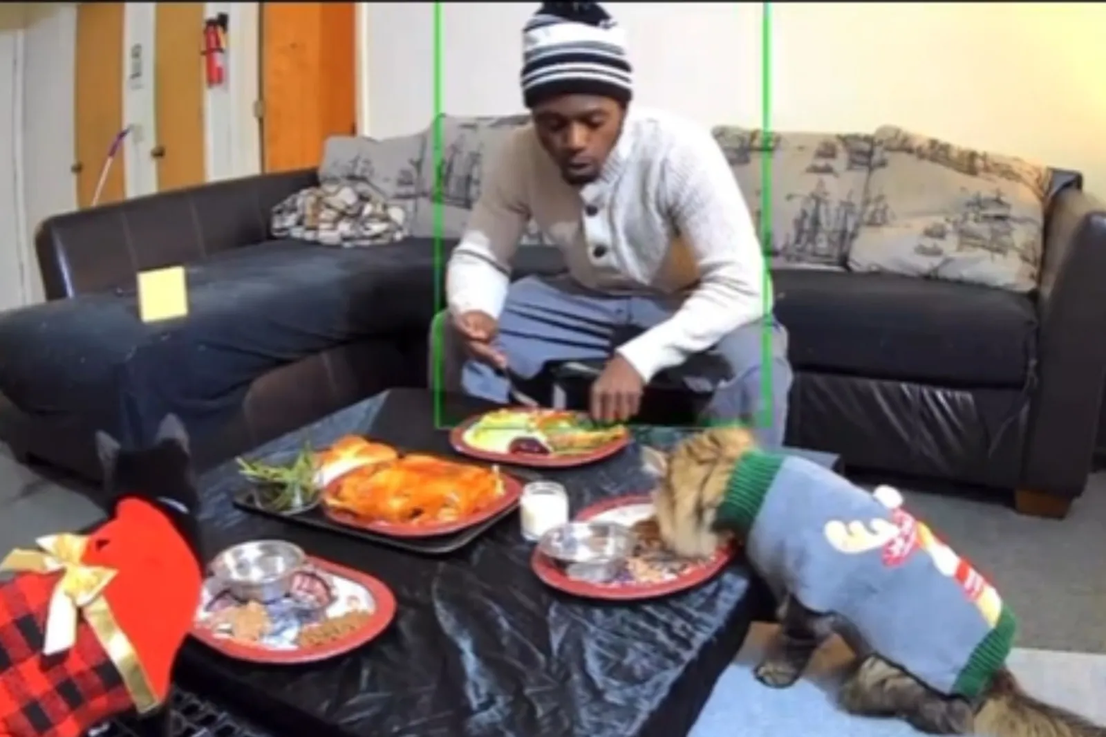 Internet Can’t Cope With What Pet Cam Shows Man Alone With Two Cats ...