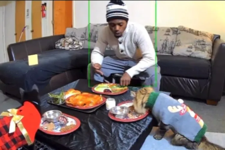 Internet Can’t Cope With What Pet Cam Shows Man Alone With Two Cats ...