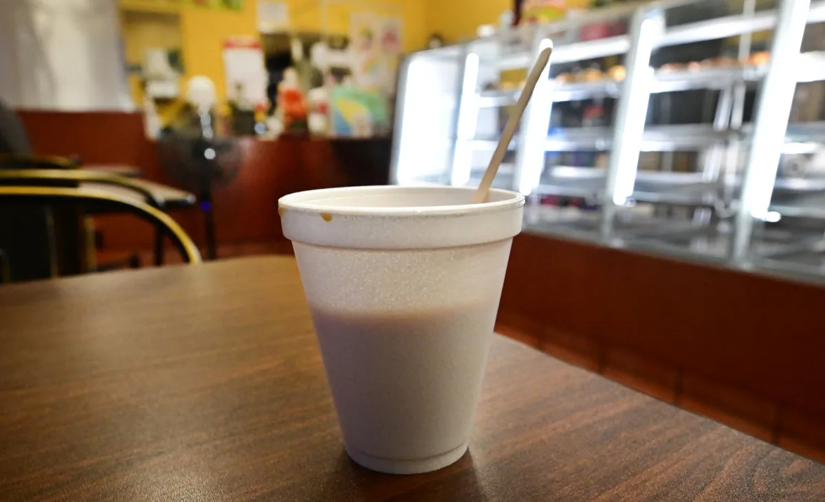 The World’s Fifth-Largest Economy Is About to Ban Most Polystyrene Foam ...
