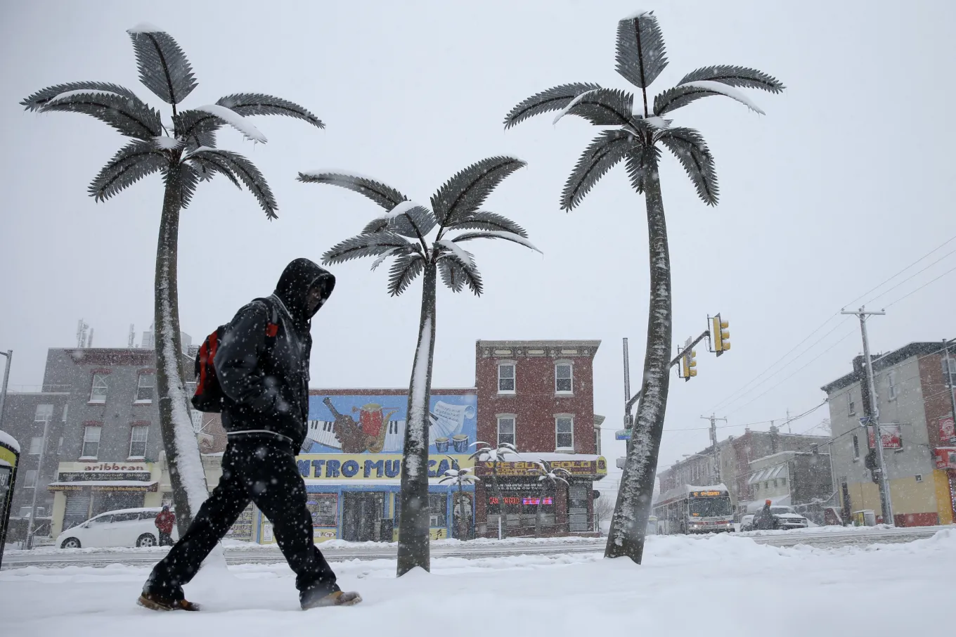 Florida Polar Vortex Forecast: Arctic Blast Could Strike as South as ...