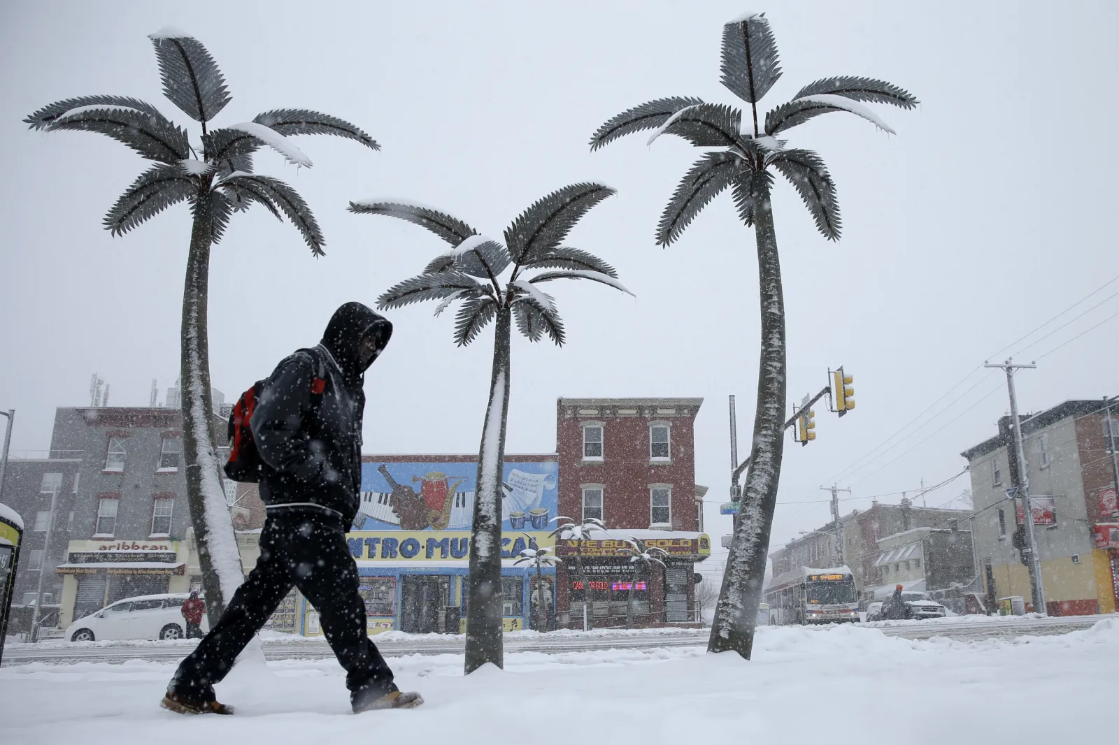 Florida Polar Vortex Forecast: Arctic Blast Could Strike as South as ...