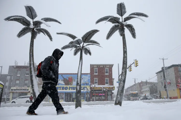 Florida Polar Vortex Forecast: Arctic Blast Could Strike as South as ...