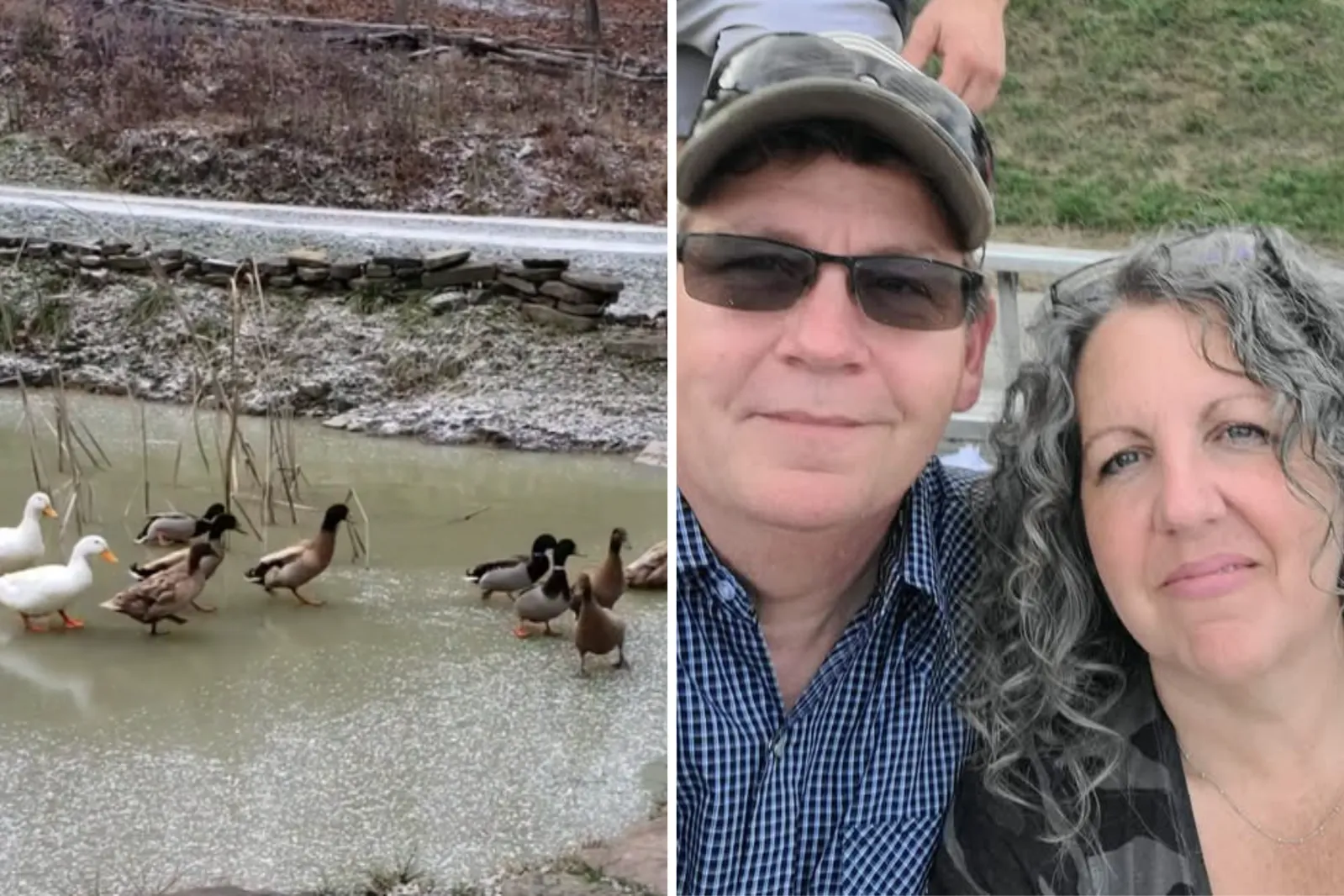 Woman Captures Ducks’ Utter Bafflement As Pond Freezes Over - Newsweek