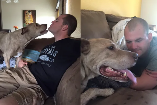 What Matthew Livelsberger’s Social Media Reveals About Cybertruck ...