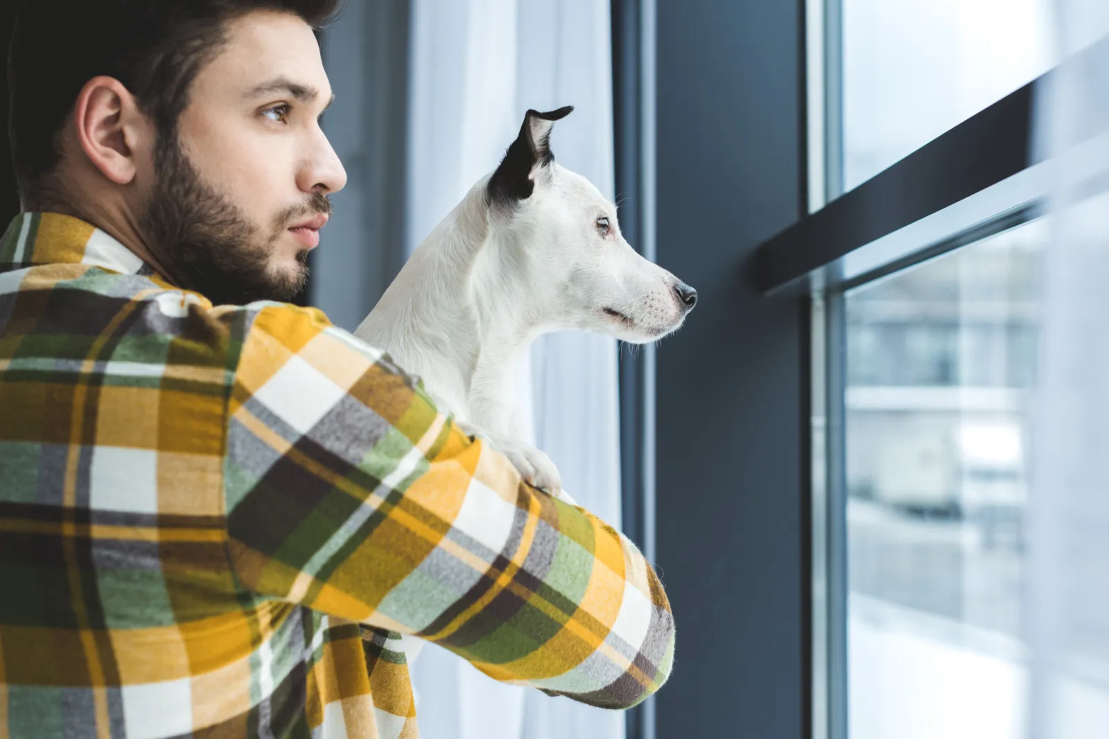 Hilarious Moment Woman Realizes Husband and Dog Are ‘As Nosy’ As Each ...