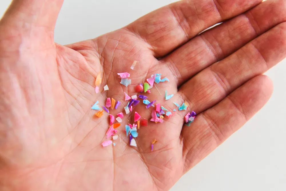 Microplastics in food: Is there any way to avoid them? - Newsweek
