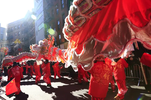 It's the Year of the Wood Snake—A Guide to the 2025 Lunar New Year ...