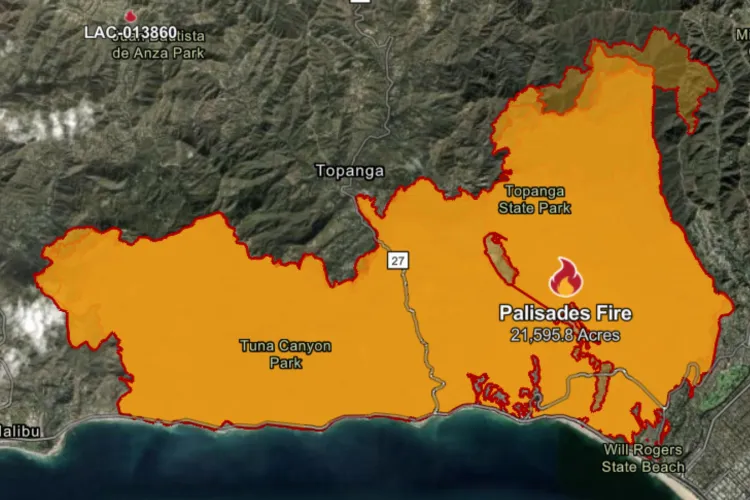 Videos Show Devastating Palisades Fire Encroaching on San Fernando ...
