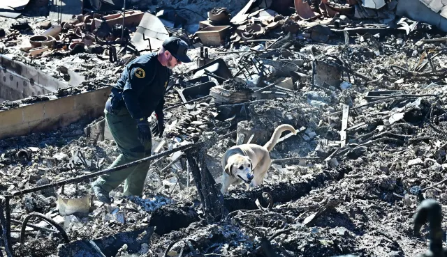 Tears as Palisades Man Reunites With Dog After Fire Destroys Home ...